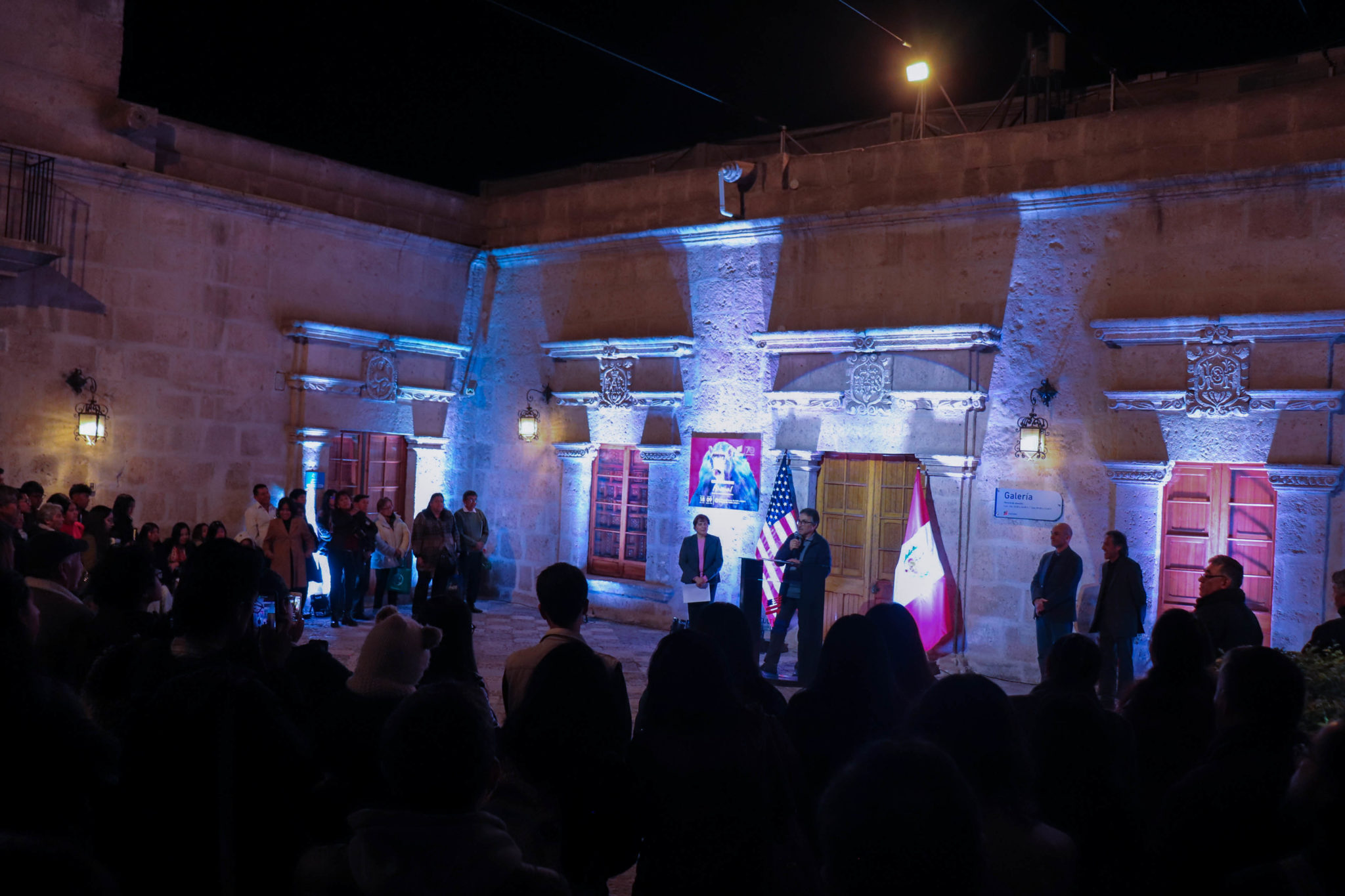 Simios y sus emociones en la inauguración de la muestra ‘Animal’ de ...